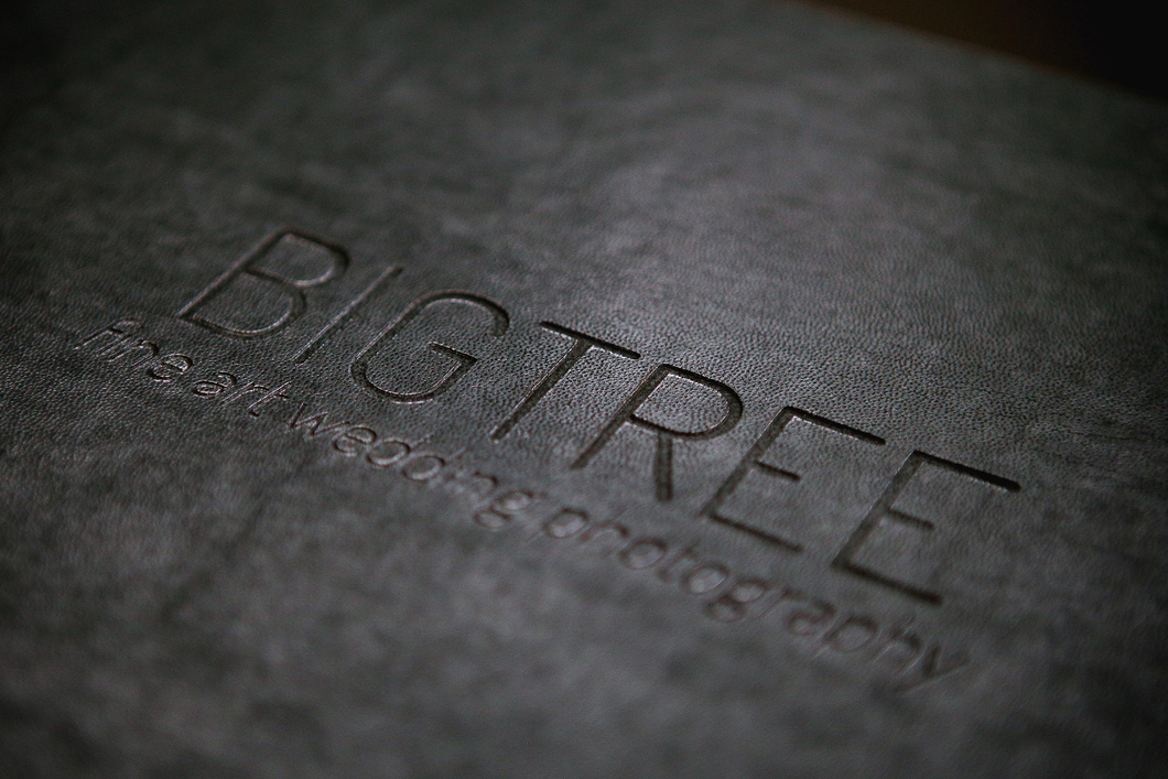 Information – BIGTREE